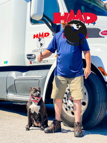 Best Pets for Truck Drivers: Dog and Cat Breeds for Road Trips
