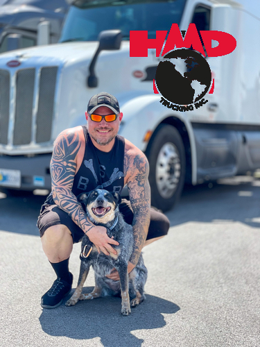 Best Pets for Truck Drivers: Dog and Cat Breeds for Road Trips