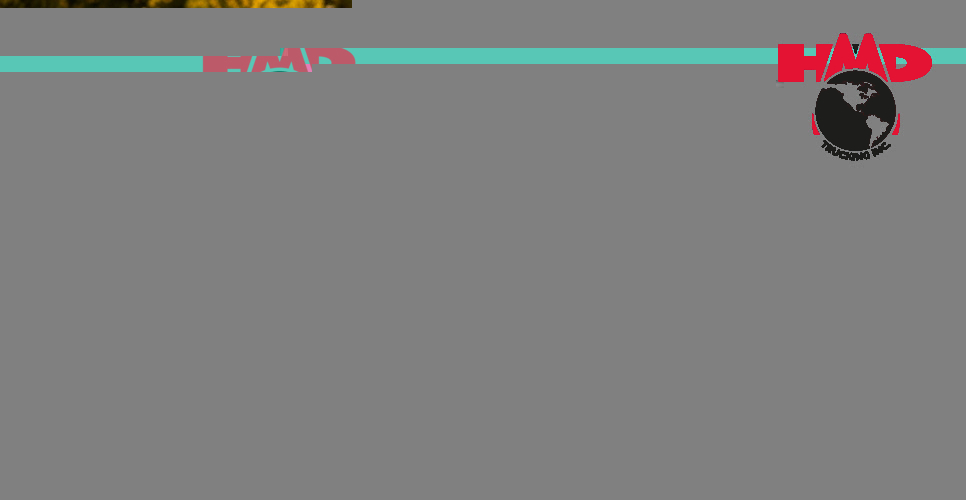 Best Transportation Management Software: Picking the TMS That Works Best