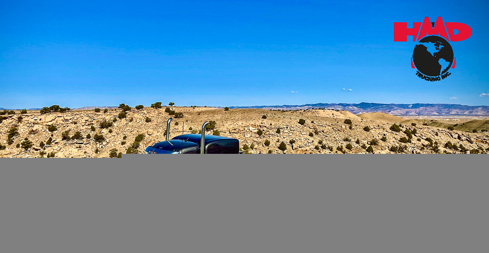 Flatbed vs Dry Van: Which of These Two Roads You Should Take