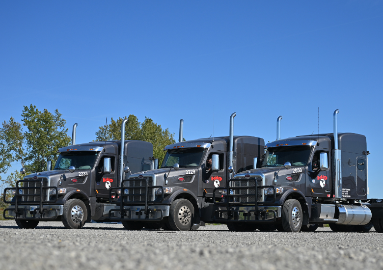 Flatbed Trucking Company, Logistic and Transportation Services – HMD ...